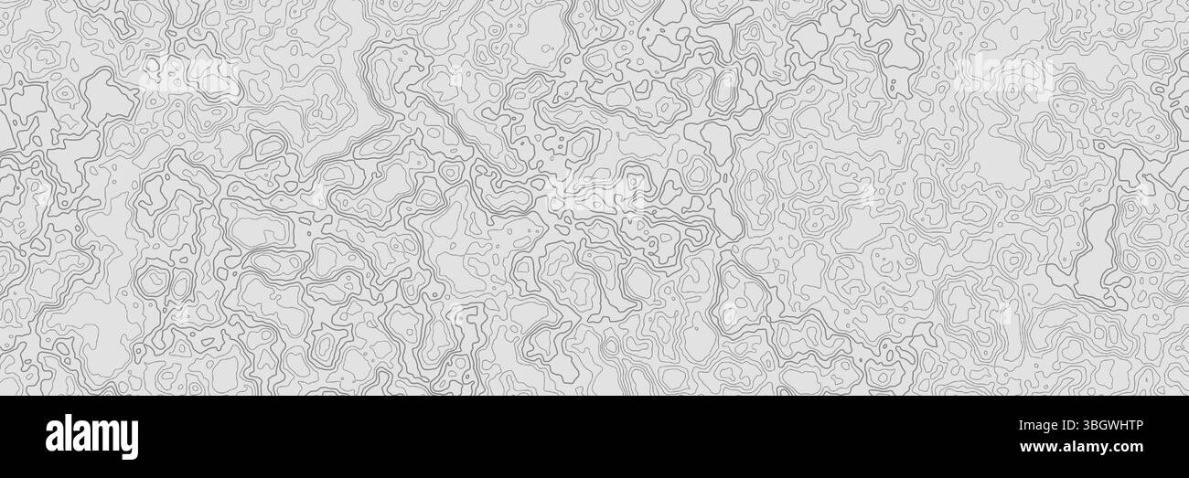 Abstract topographic pattern depicting fluid lines and shapes in black ...