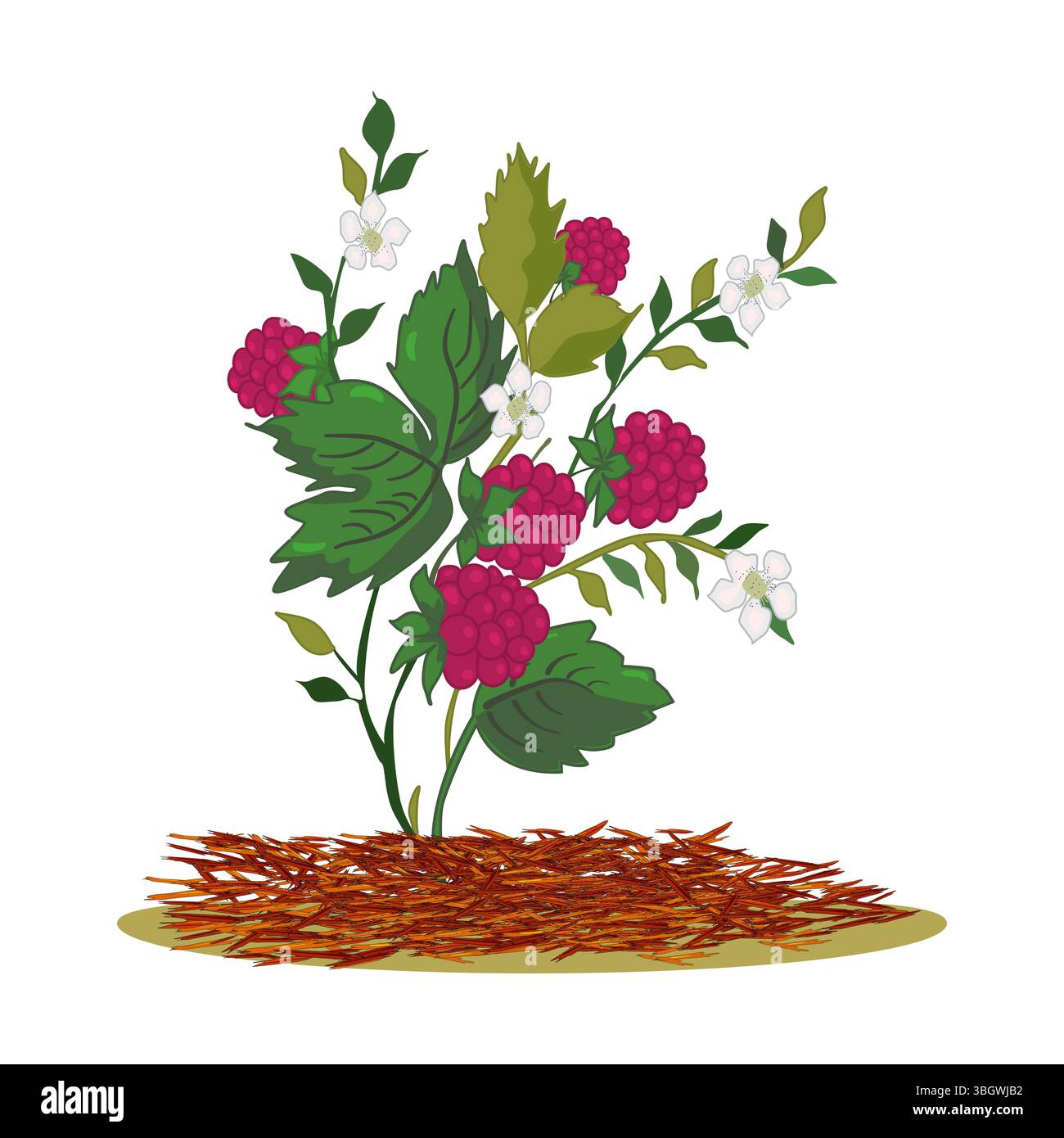 Organic mulching. Weed management. Red mulch and plant. Mulch for bed ...