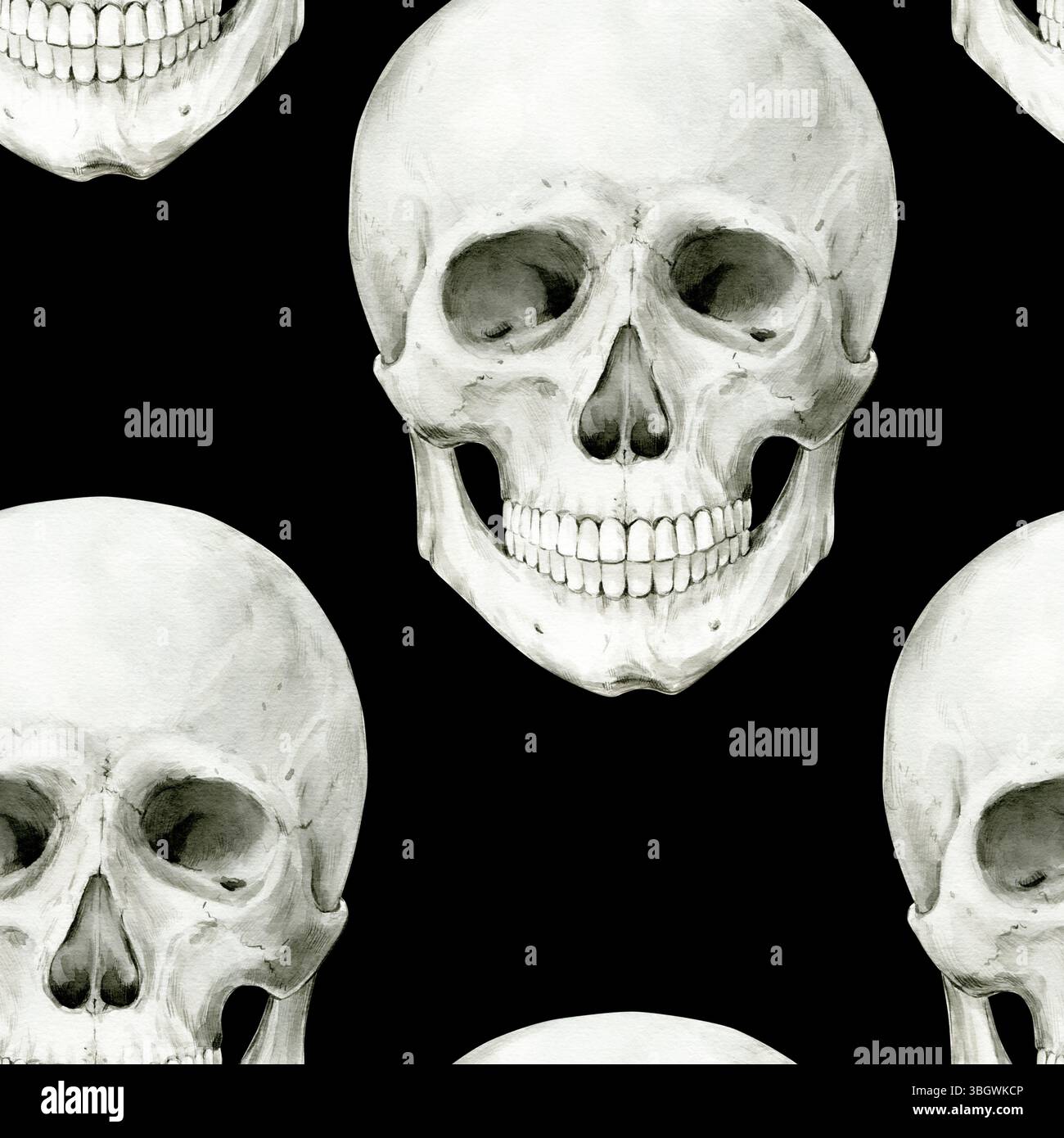 Seamless pattern of human skulls on black background. Watercolor ...