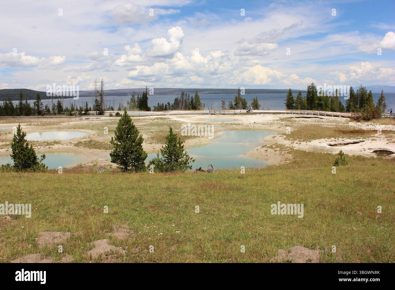 A vast expanse in Yellowstone National Park showcases geothermal pools ...