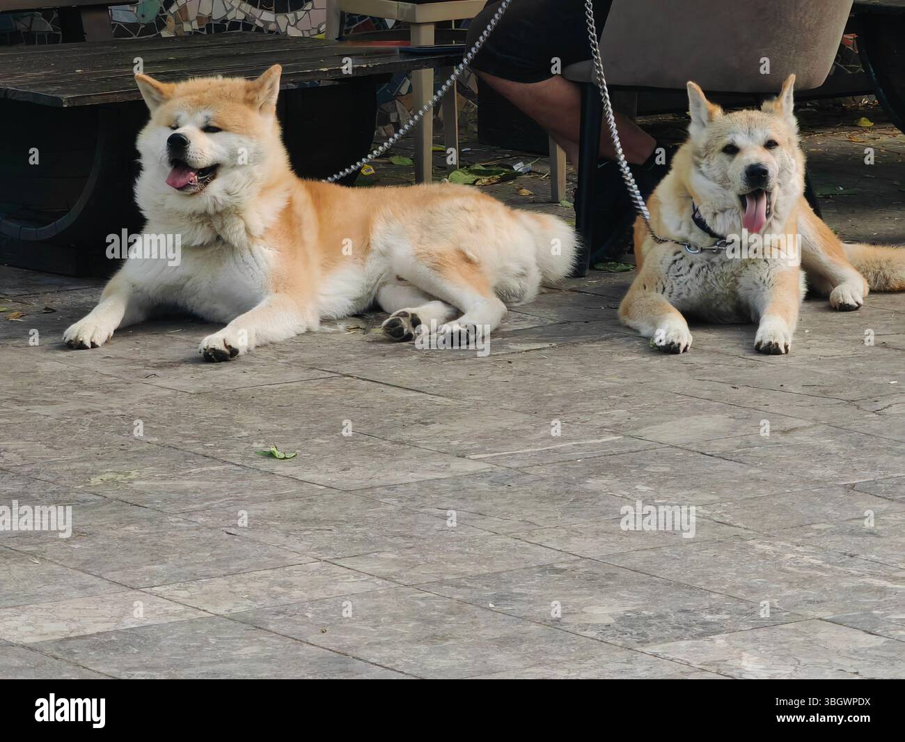 Best friend duo hi-res stock photography and images - Alamy