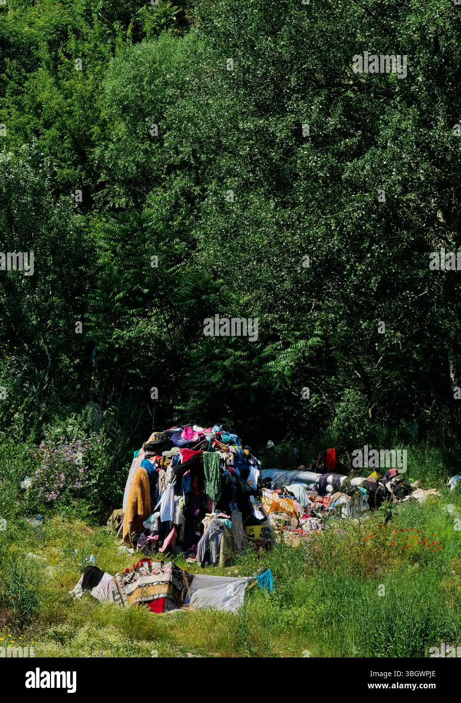 Forest Shelter: Improvised Tent from Forgotten Clothes Stock Photo - Alamy