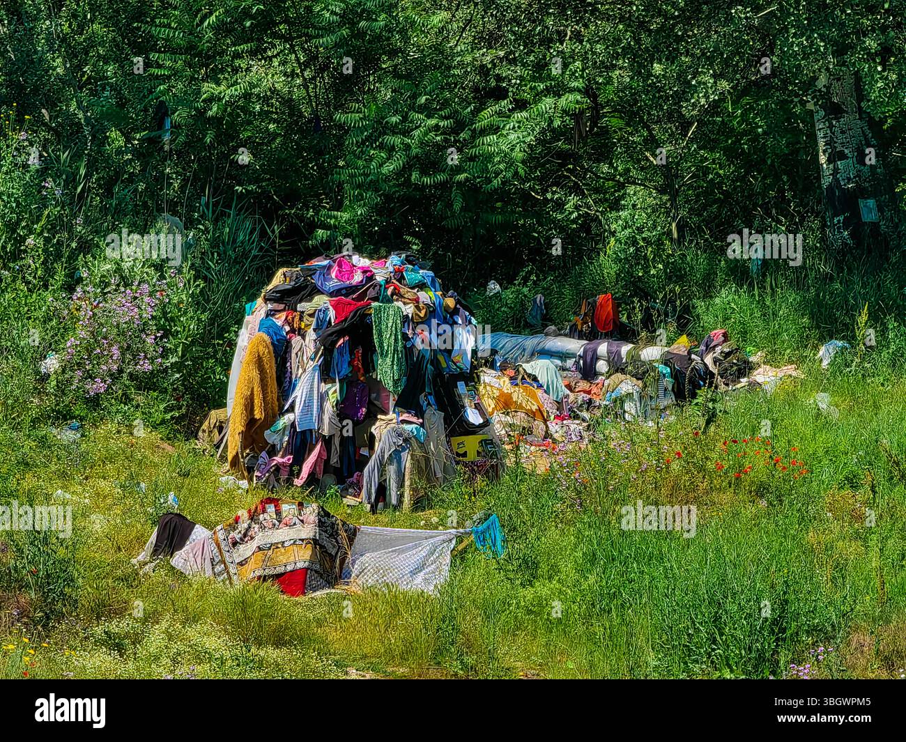Forest Shelter: Improvised Tent from Forgotten Clothes Stock Photo - Alamy