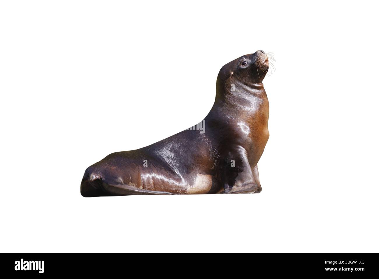Southern on sea Cut Out Stock Images & Pictures - Alamy