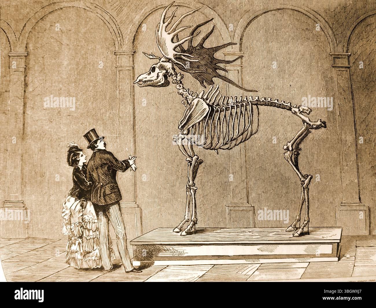 Irish museum of mo hi-res stock photography and images - Alamy