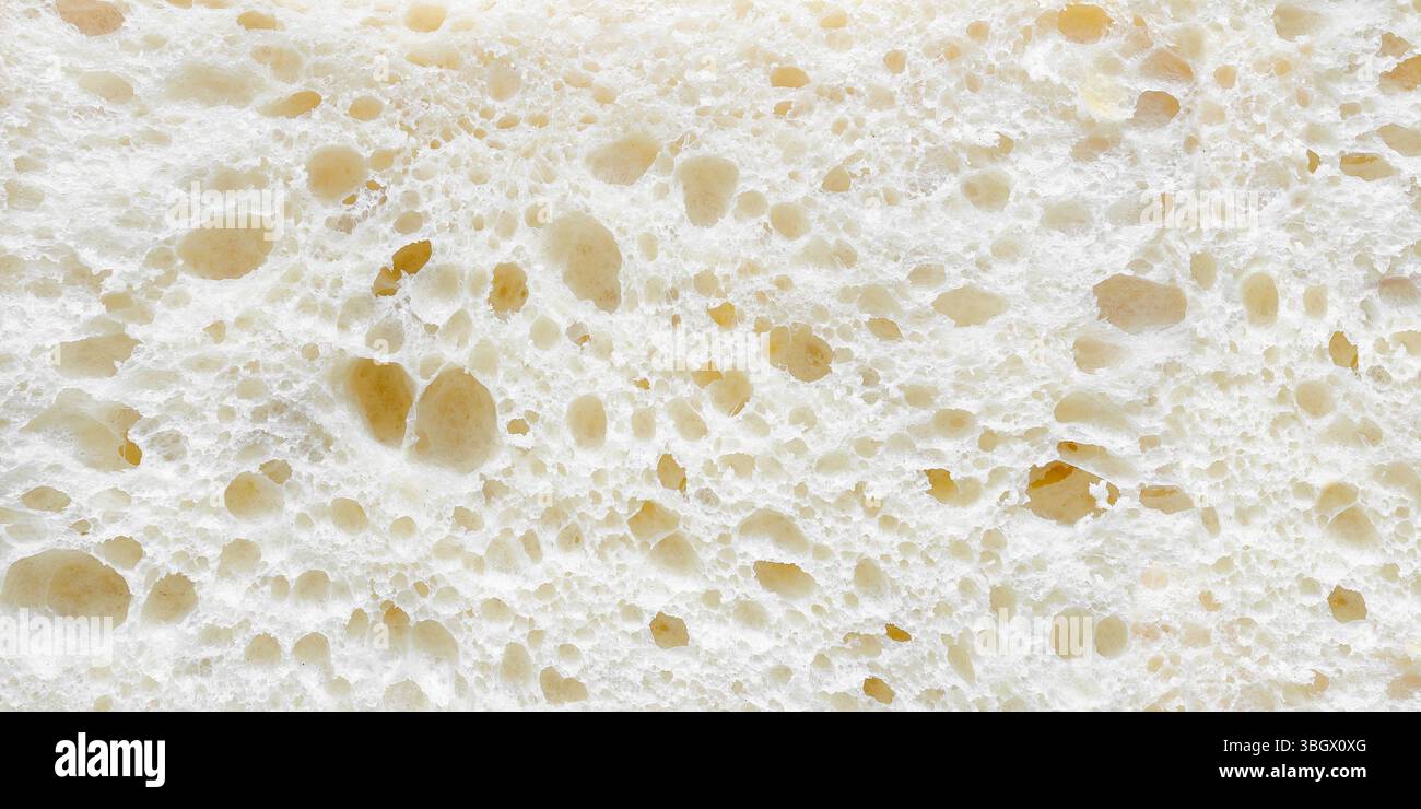 porous pattern of white soft bread crump Stock Photo - Alamy