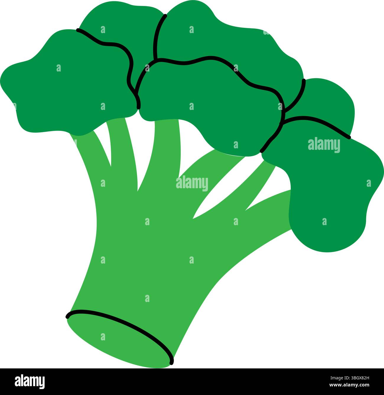 Raw fresh broccoli farm Stock Vector Images - Alamy