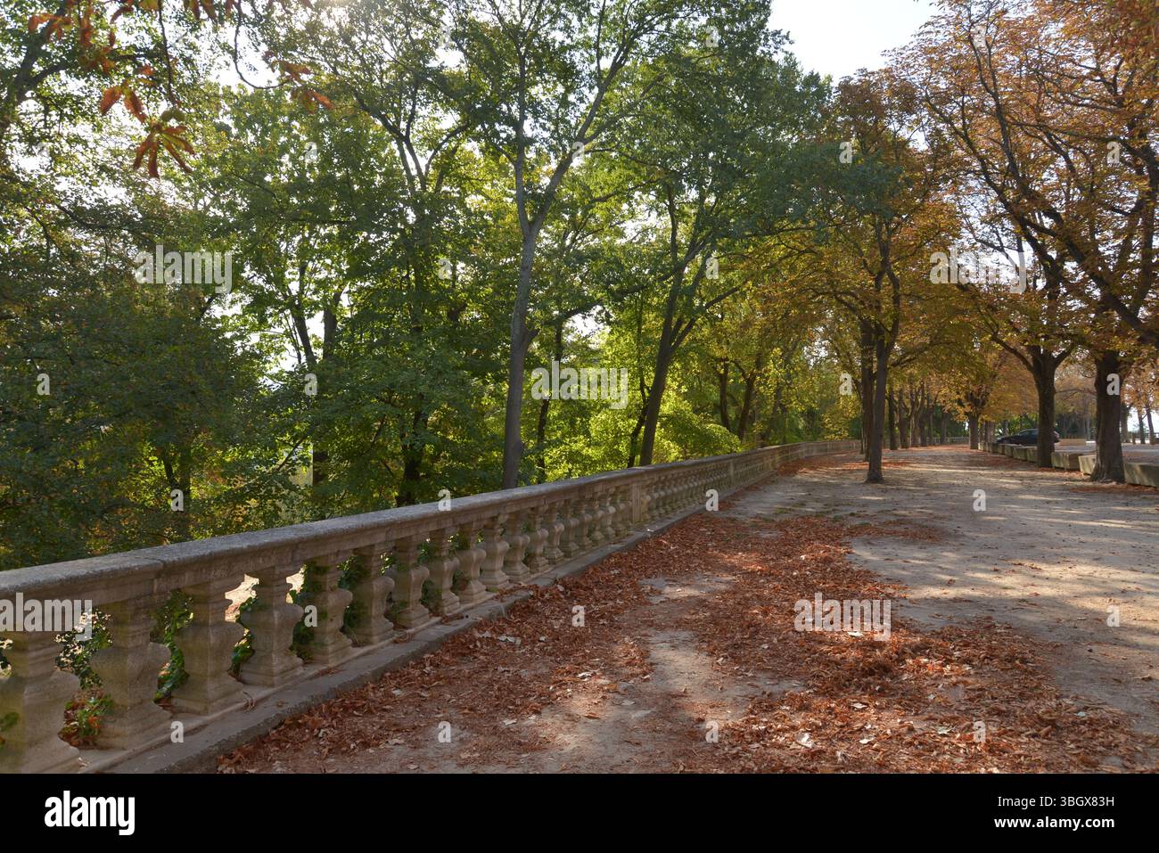 Chestnut walk hi-res stock photography and images - Alamy