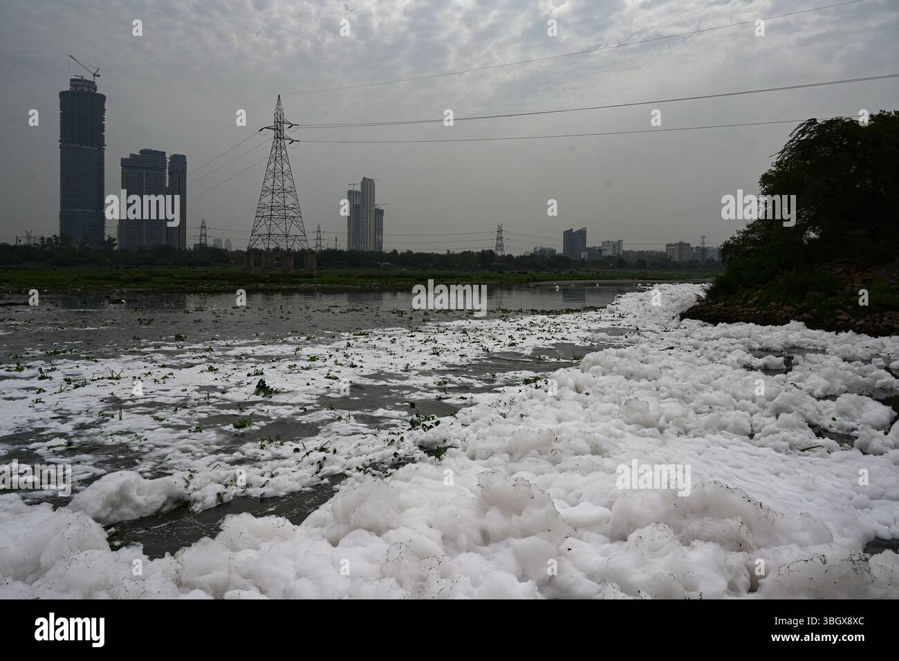 NEW DELHI, INDIA - JUNE 5: A view of Yamuna River covered with thick ...