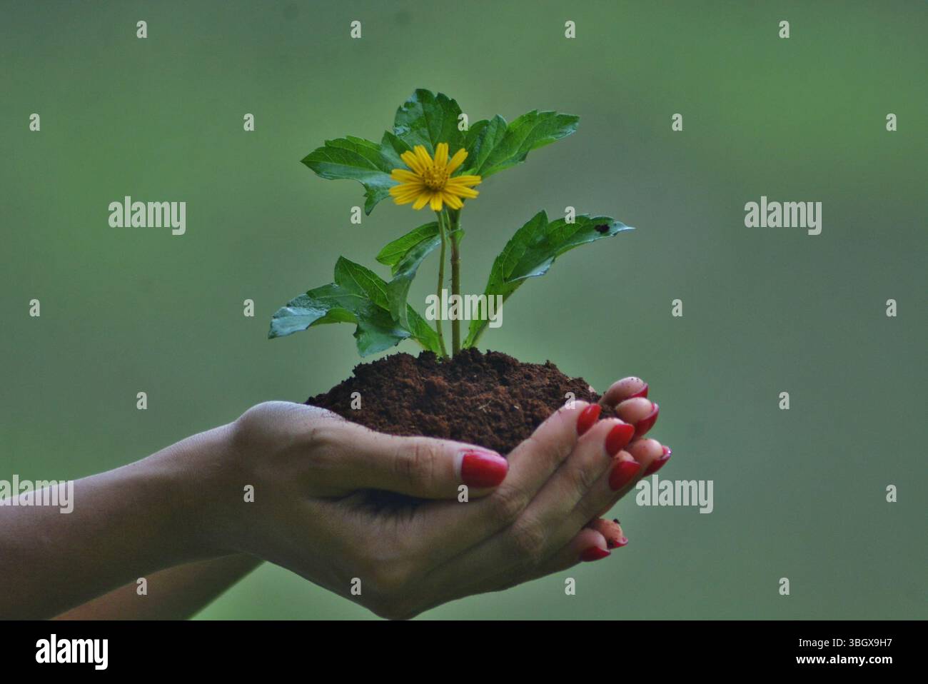 MUMBAI, INDIA - JUNE 5: On the occasion of World Environment Day, NGO ...