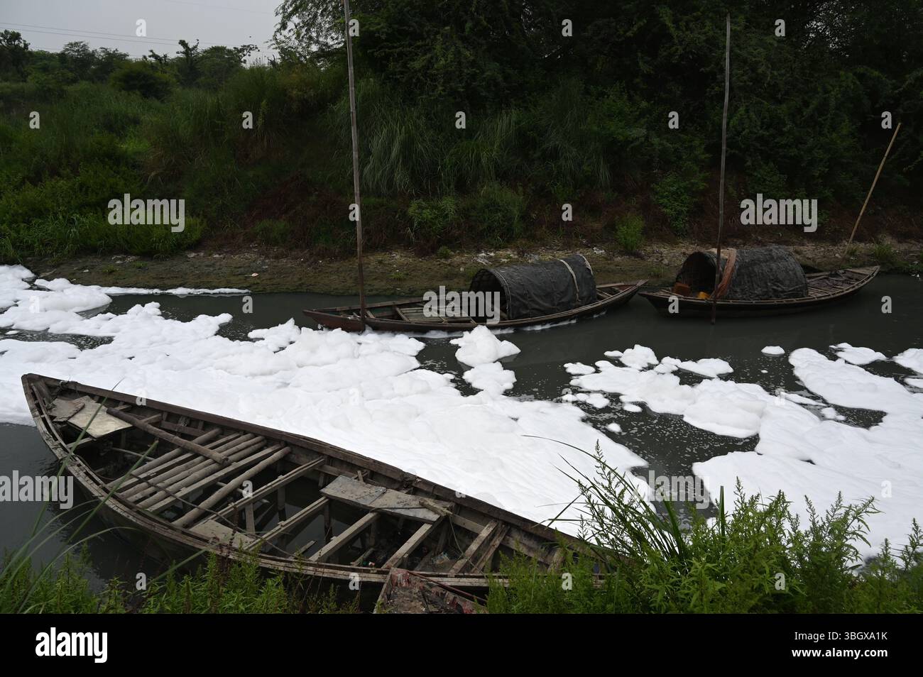 NEW DELHI, INDIA - JUNE 5: A view of Yamuna River covered with thick ...