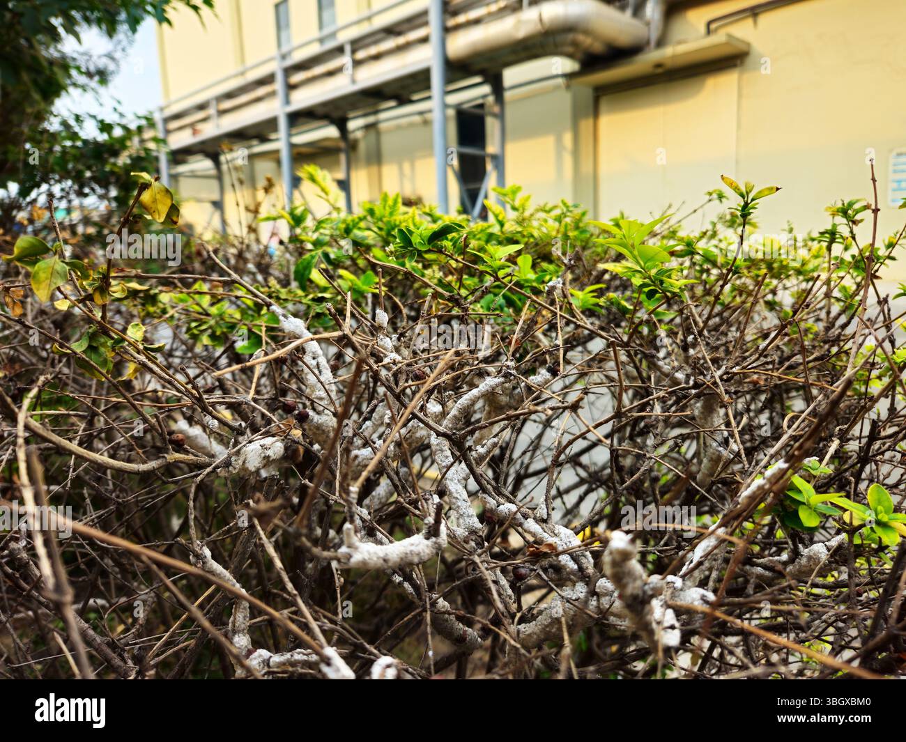 Environmental contamination factory waste hi-res stock photography and ...