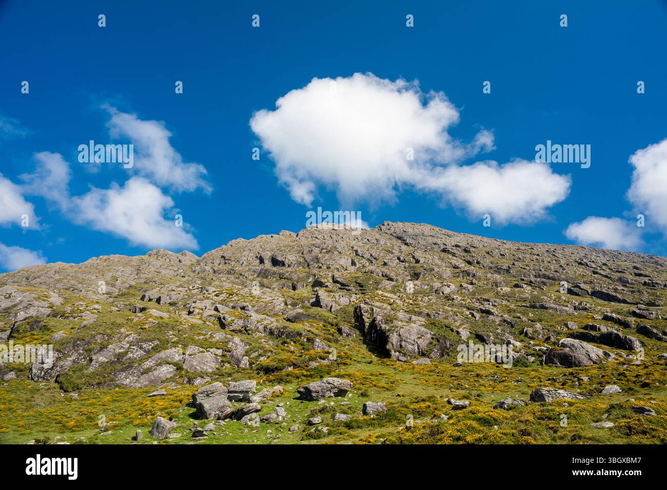Old red sandstone ireland hi-res stock photography and images - Alamy