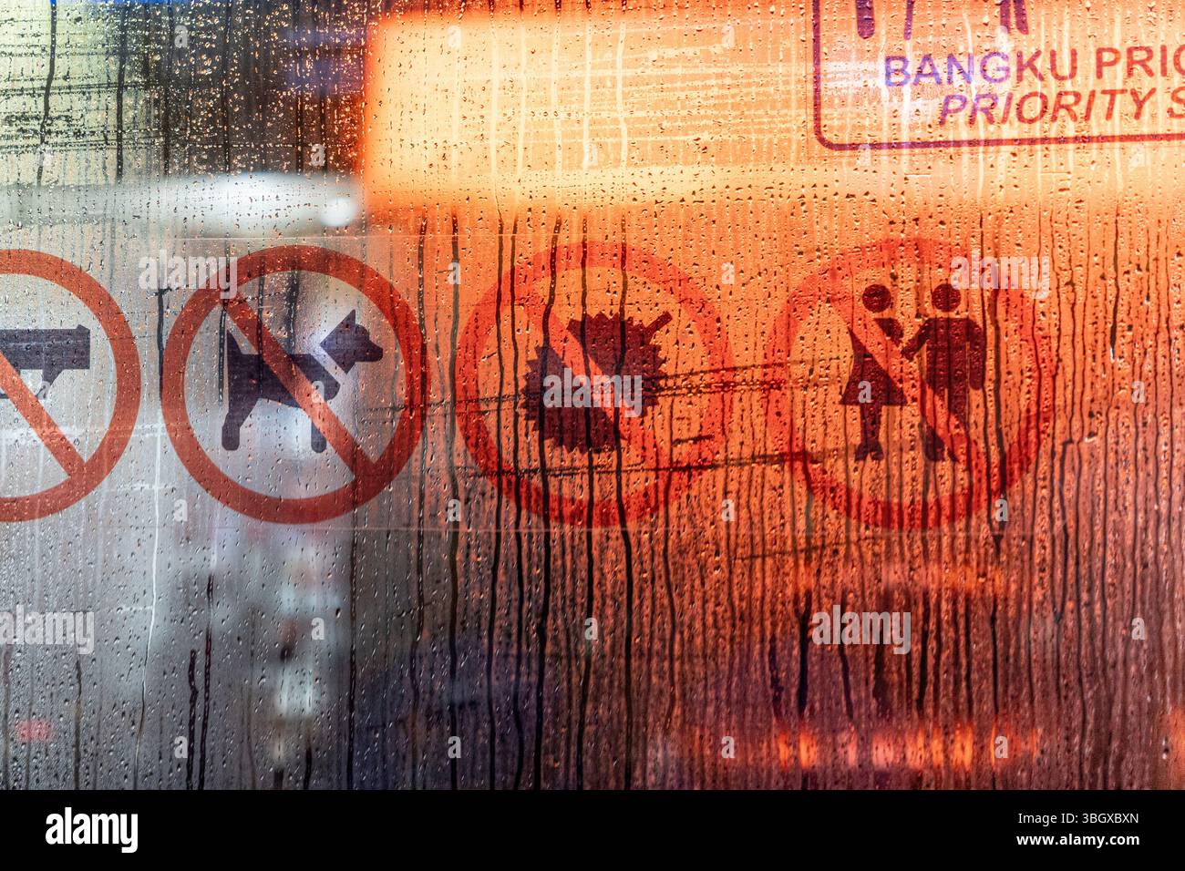 Sign on a window that says no guns, no dogs, no smoking, no alcohol, no ...