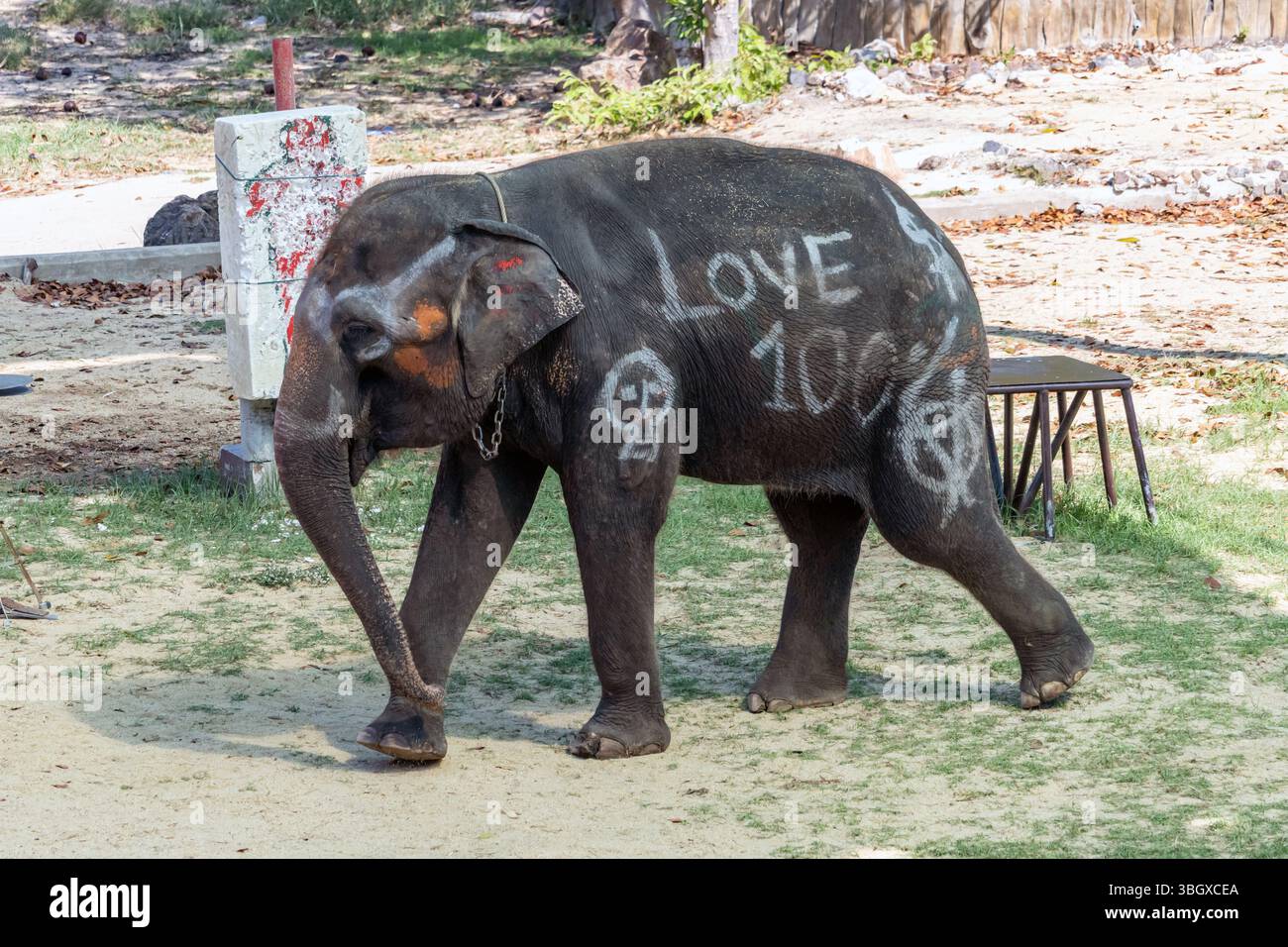 An elephant with painted skin Stock Photo - Alamy