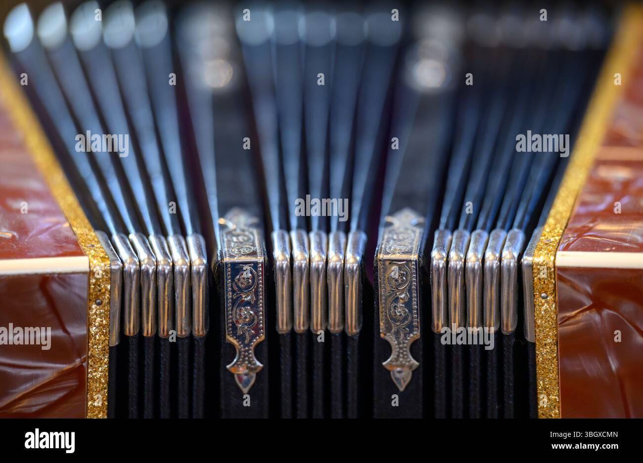 Chemnitz, Germany. 29th May, 2025. A bandoneon is on display in the ...