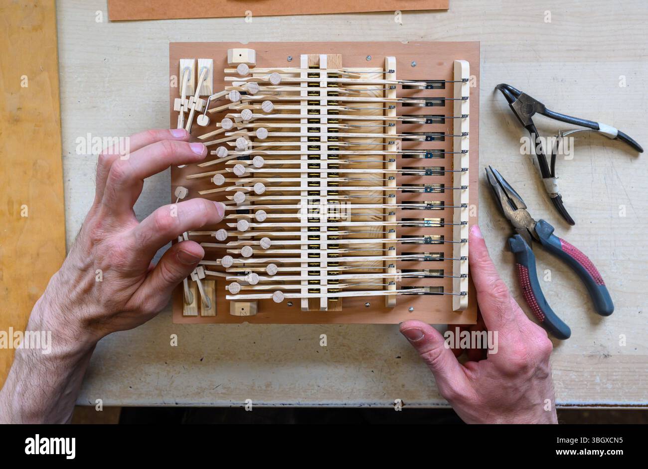 PRODUCTION - 03 June 2025, Saxony, Klingenthal: In the workshop of the ...