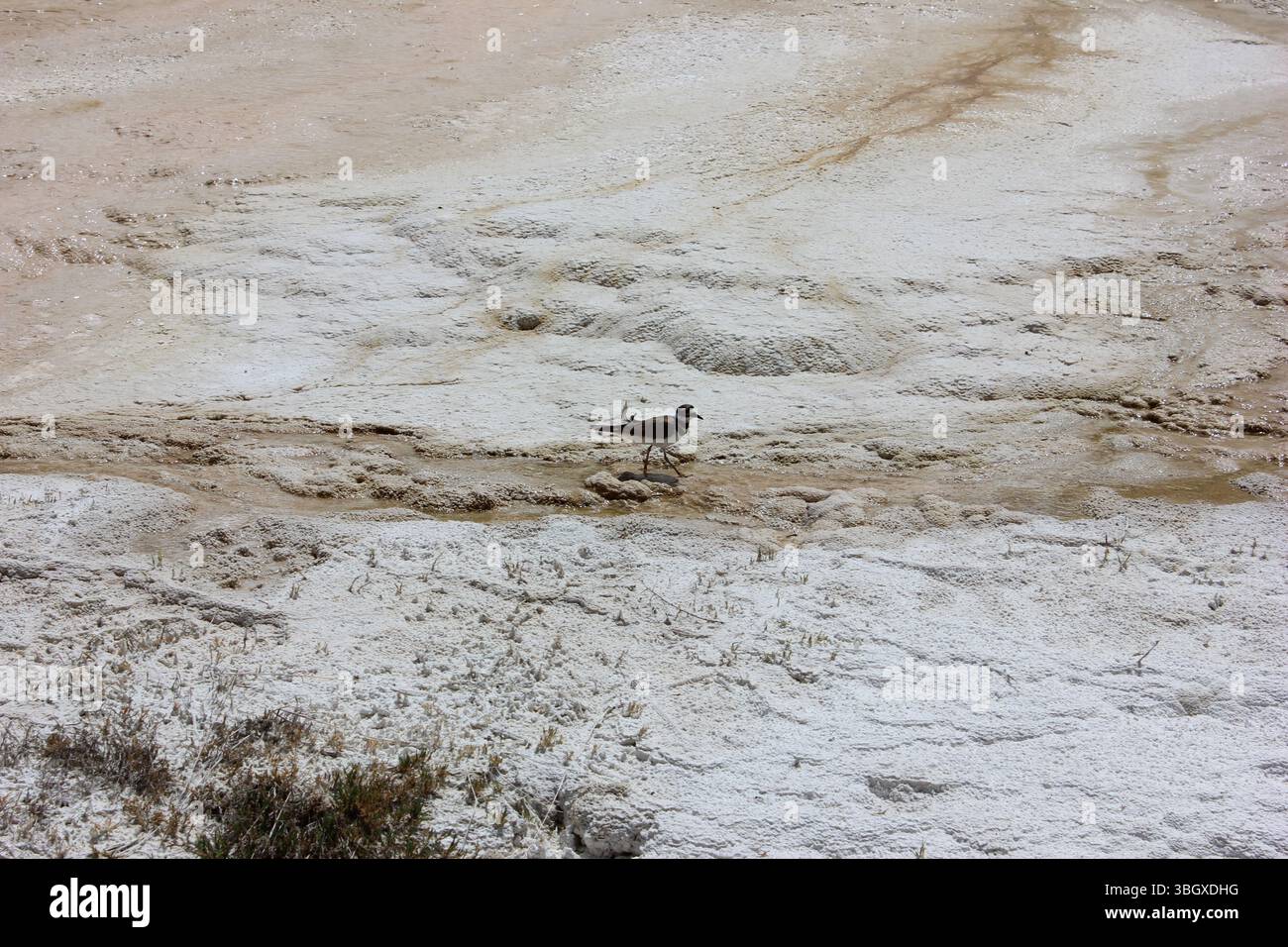 Mineral rich geological formations hi-res stock photography and images ...