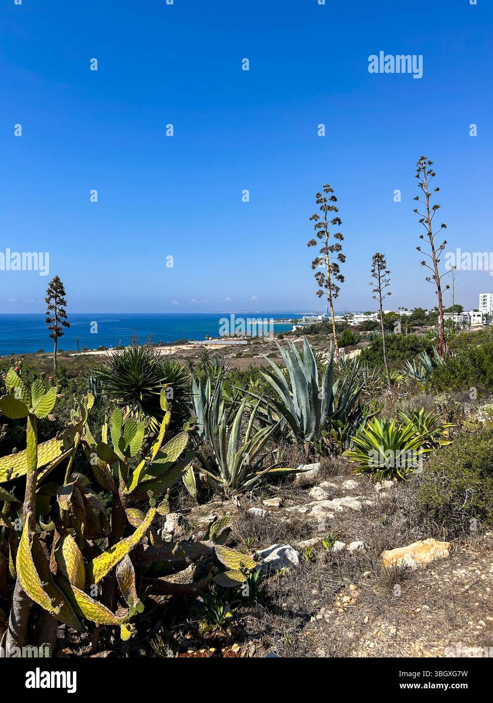 Deep ocean plant smartphone stock photos and images - Alamy