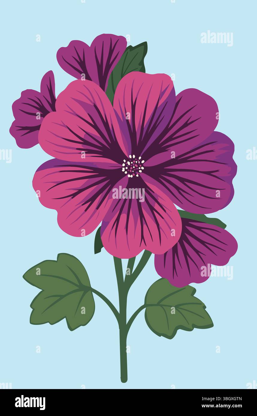 High mallow flower Stock Vector Images - Alamy
