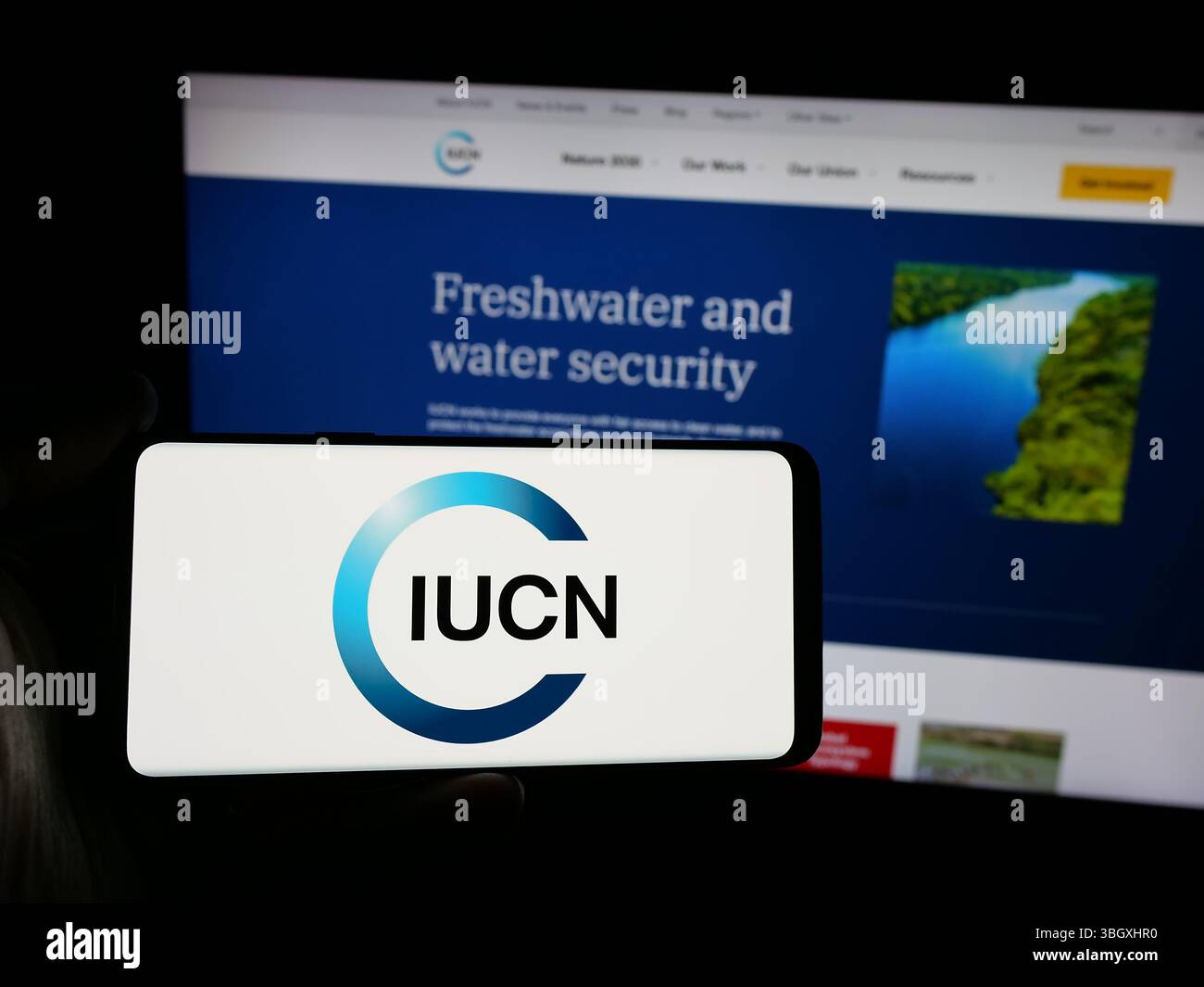 Stuttgart, Germany - 03-12-2025: Person holding smartphone with logo of ...