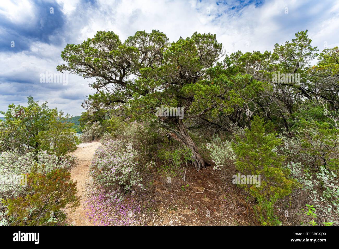 Pennybacker Bridge Overlook Trail, West Lake Hills, Texas Stock Photo ...