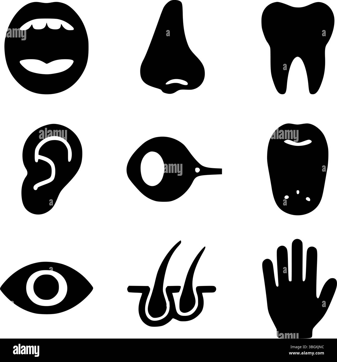 Human Sense Organs and External Body Parts Silhouette Icon Set ...