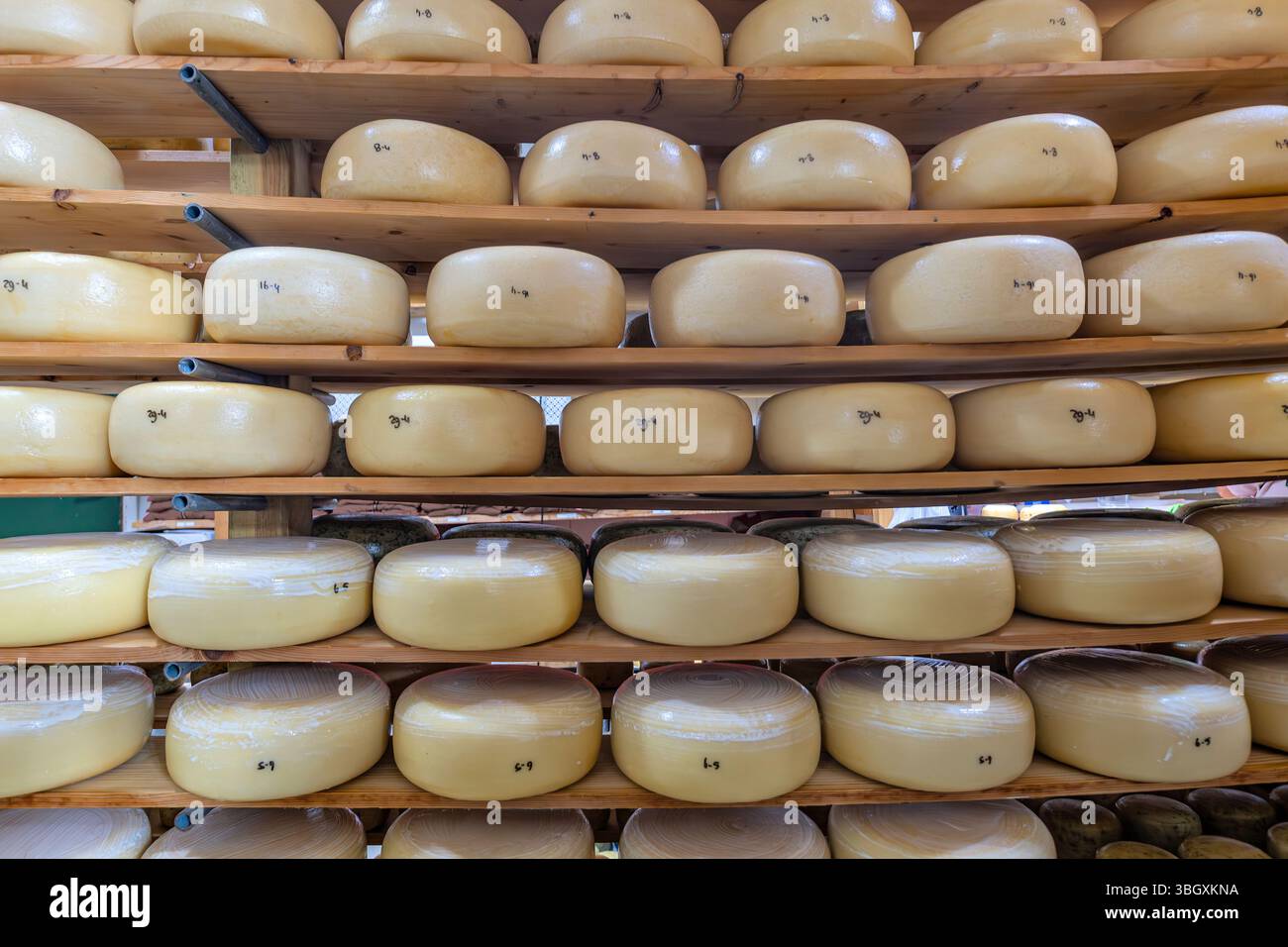 cheese wheels in ripening storage Stock Photo - Alamy