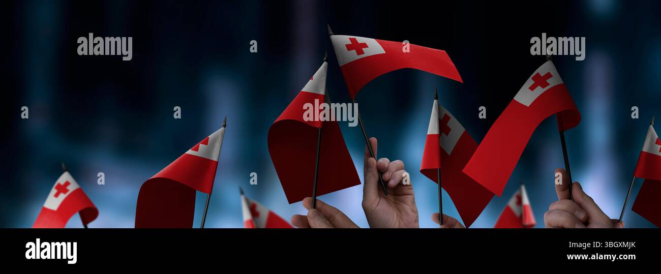 Tonga flags in their hands on a blurred urban background Stock Photo ...
