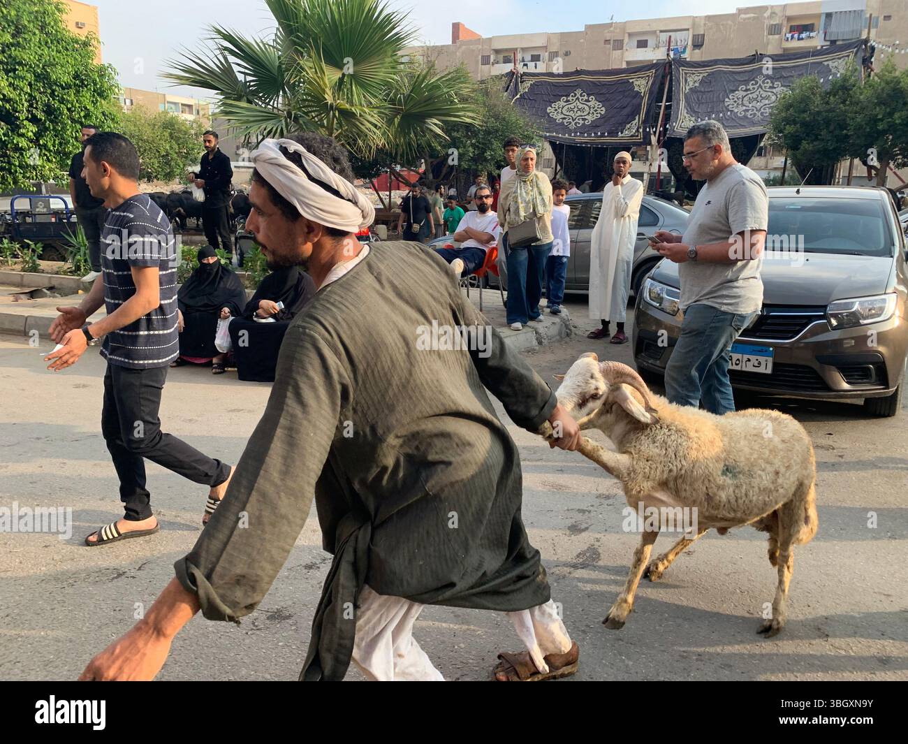 Cairo, Egypt. 06th June, 2025. An Egyptian man buys a sheep from a ...