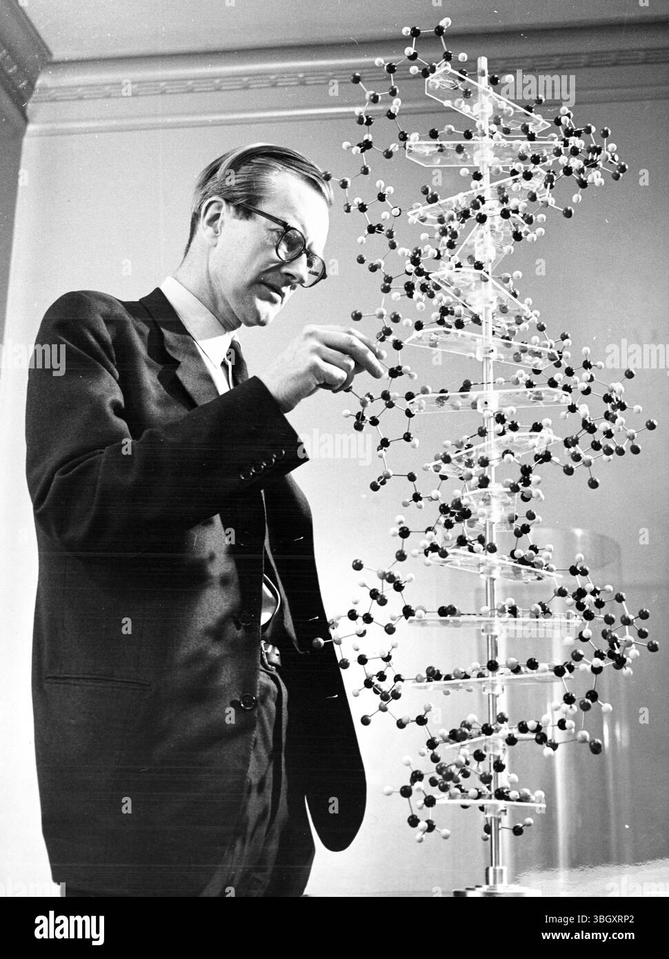 Nobel Prize Winner - Dr Maurice H. F. Wilkins, study DNA molecule ...
