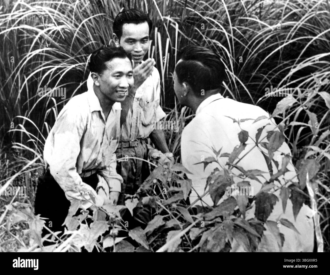 Peng chen black and white hi-res stock photography and images - Alamy