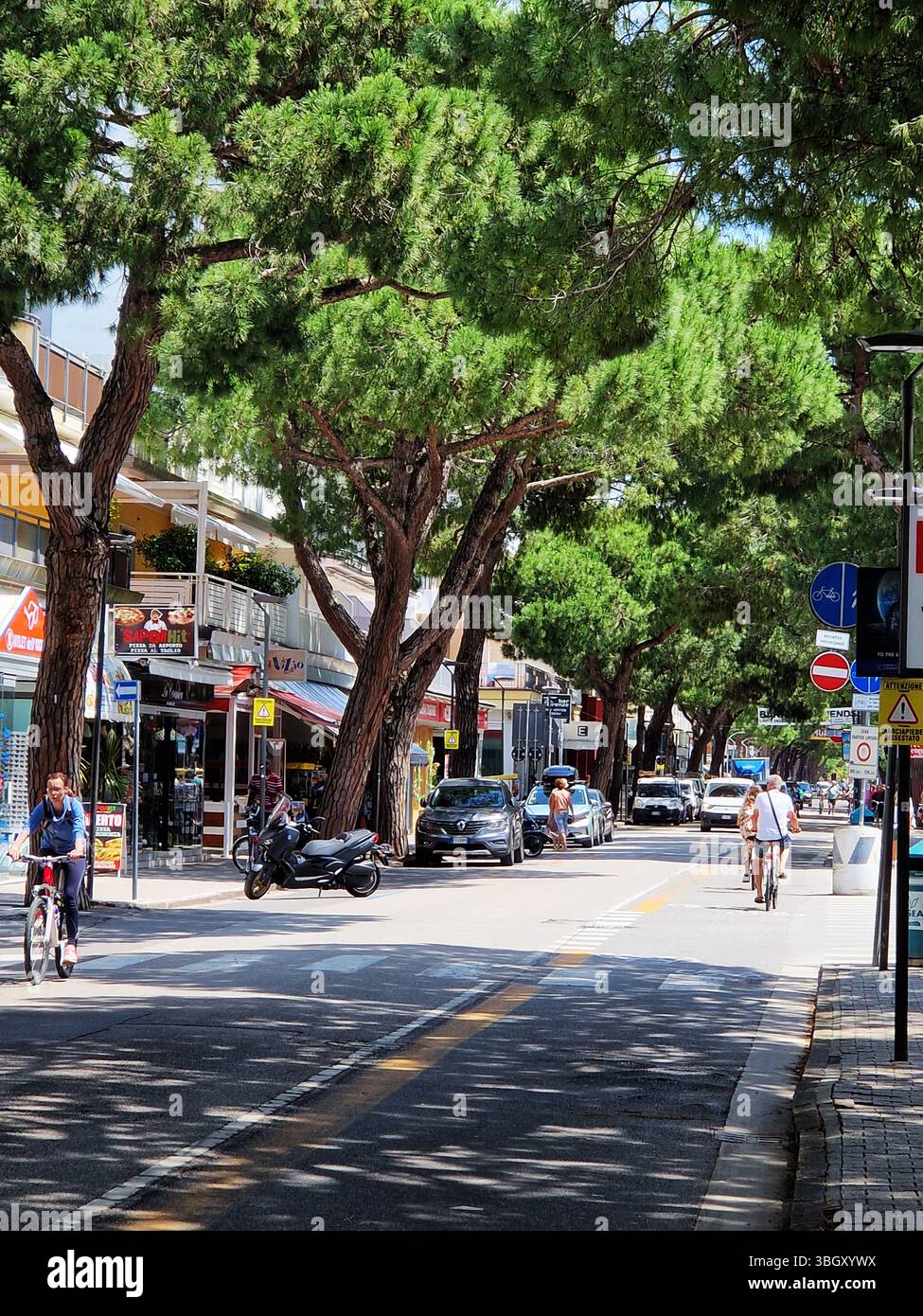 City Street with Bikes, Pedestrians, Cars, and Shaded Greenery in ...