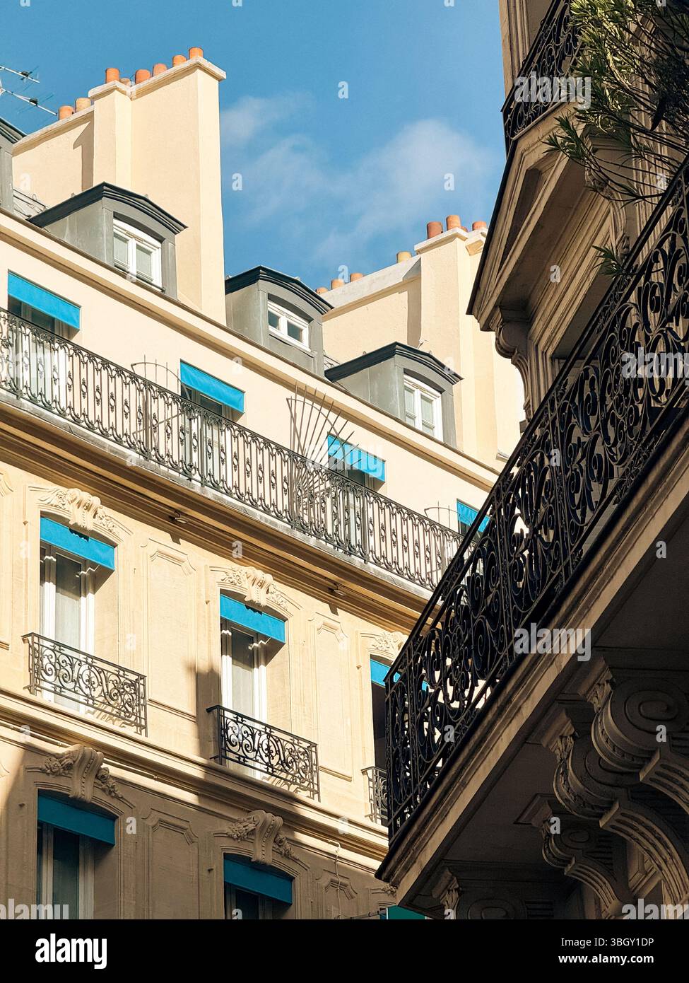 A sunlit Parisian apartment building facade featuring classic ...