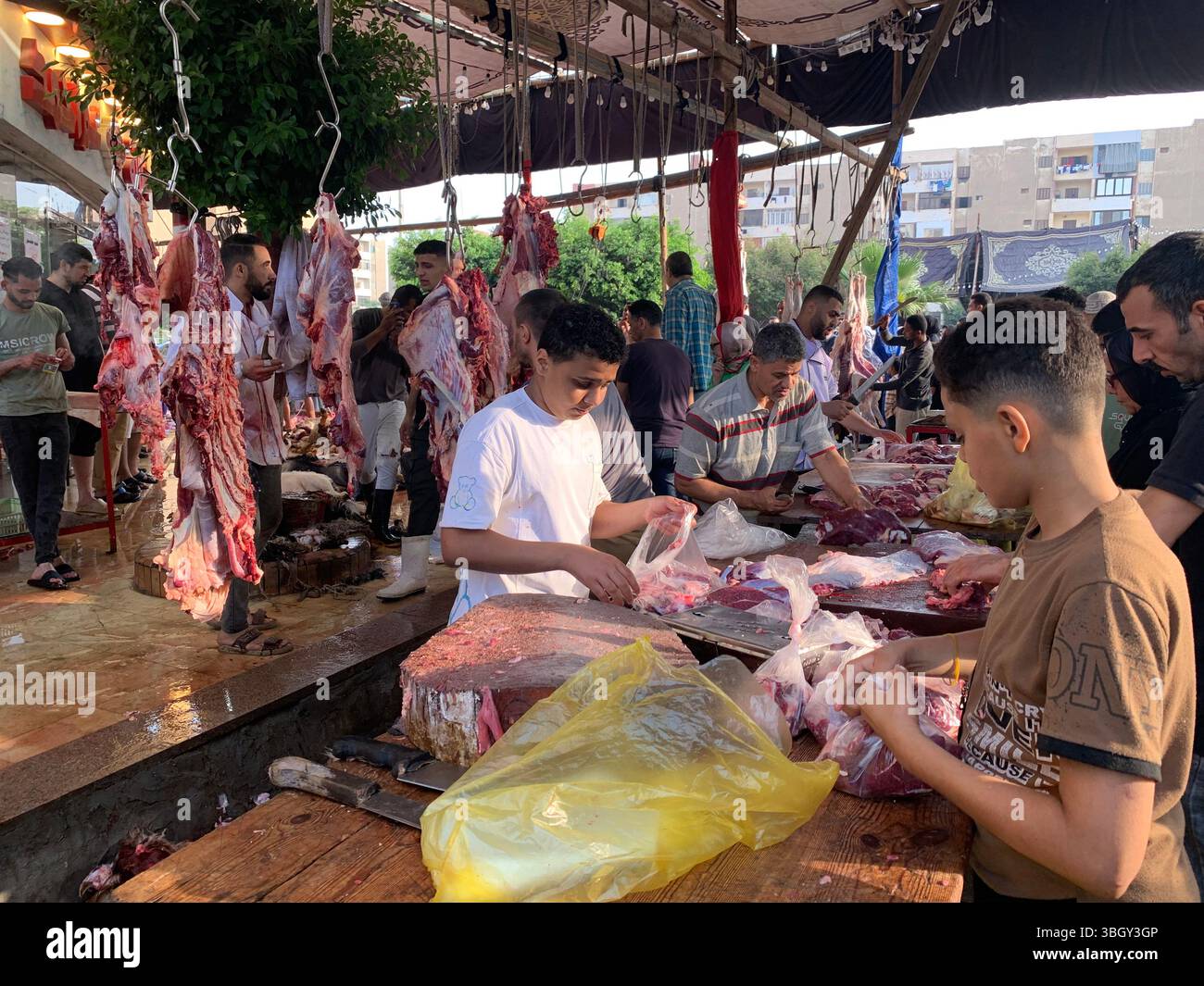 Cairo, Egypt. 06th June, 2025. Meat is purchased at a livestock market ...