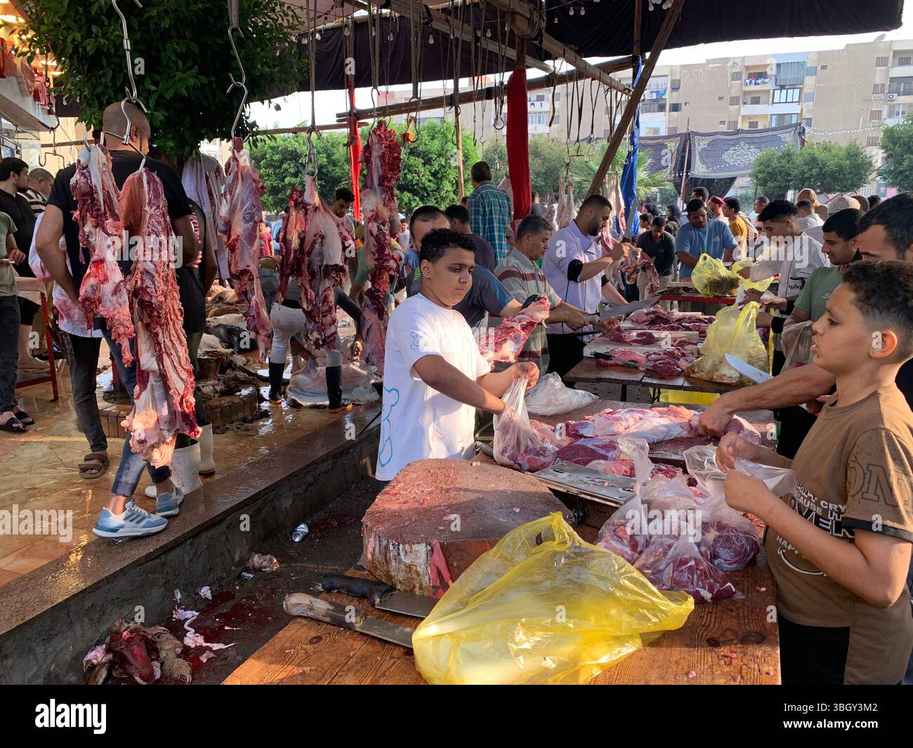 Cairo, Egypt. 06th June, 2025. Meat is purchased at a livestock market ...