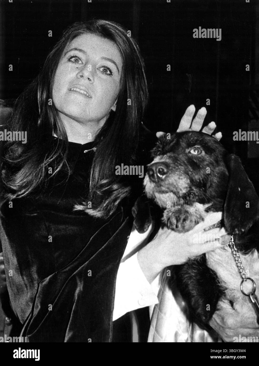 December 19 1967 hi-res stock photography and images - Alamy