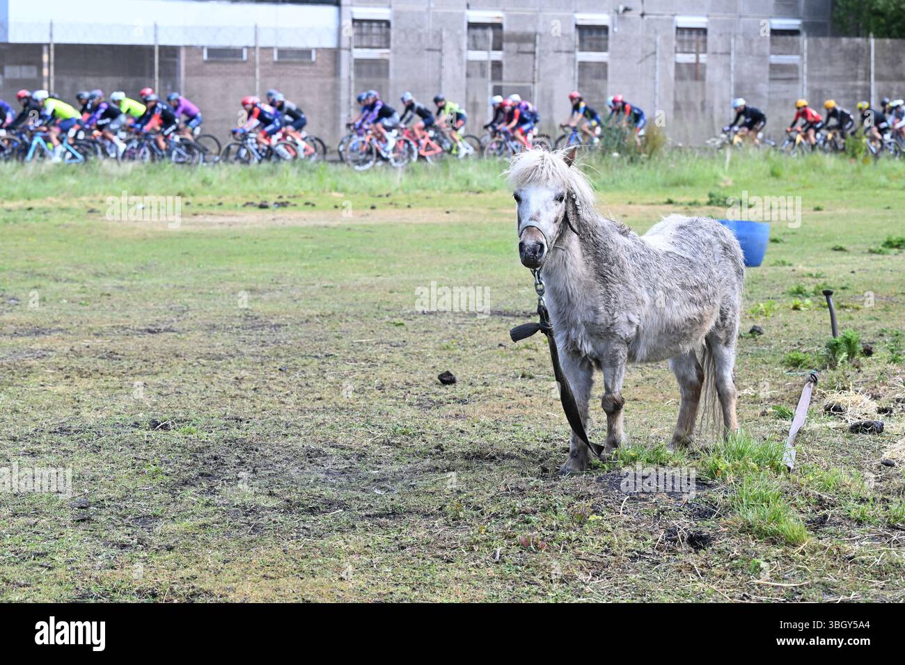 Tour of Britain Women 2025 Stage 2. Hartlepool to Saltburn by the sea ...