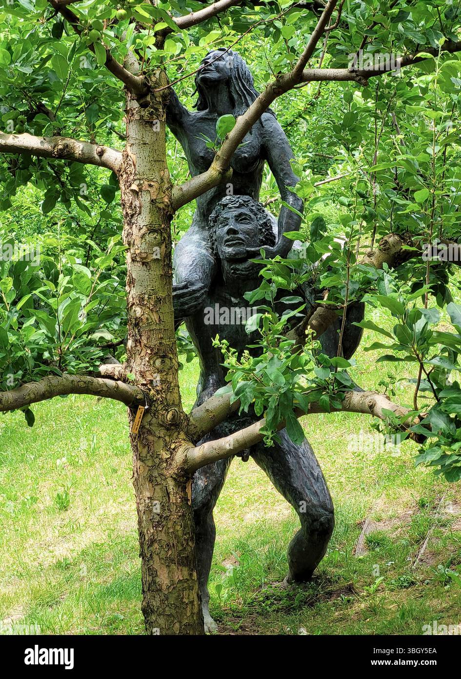 Bronze figures of Adam and Eve at an apple tree, Gardens of ...