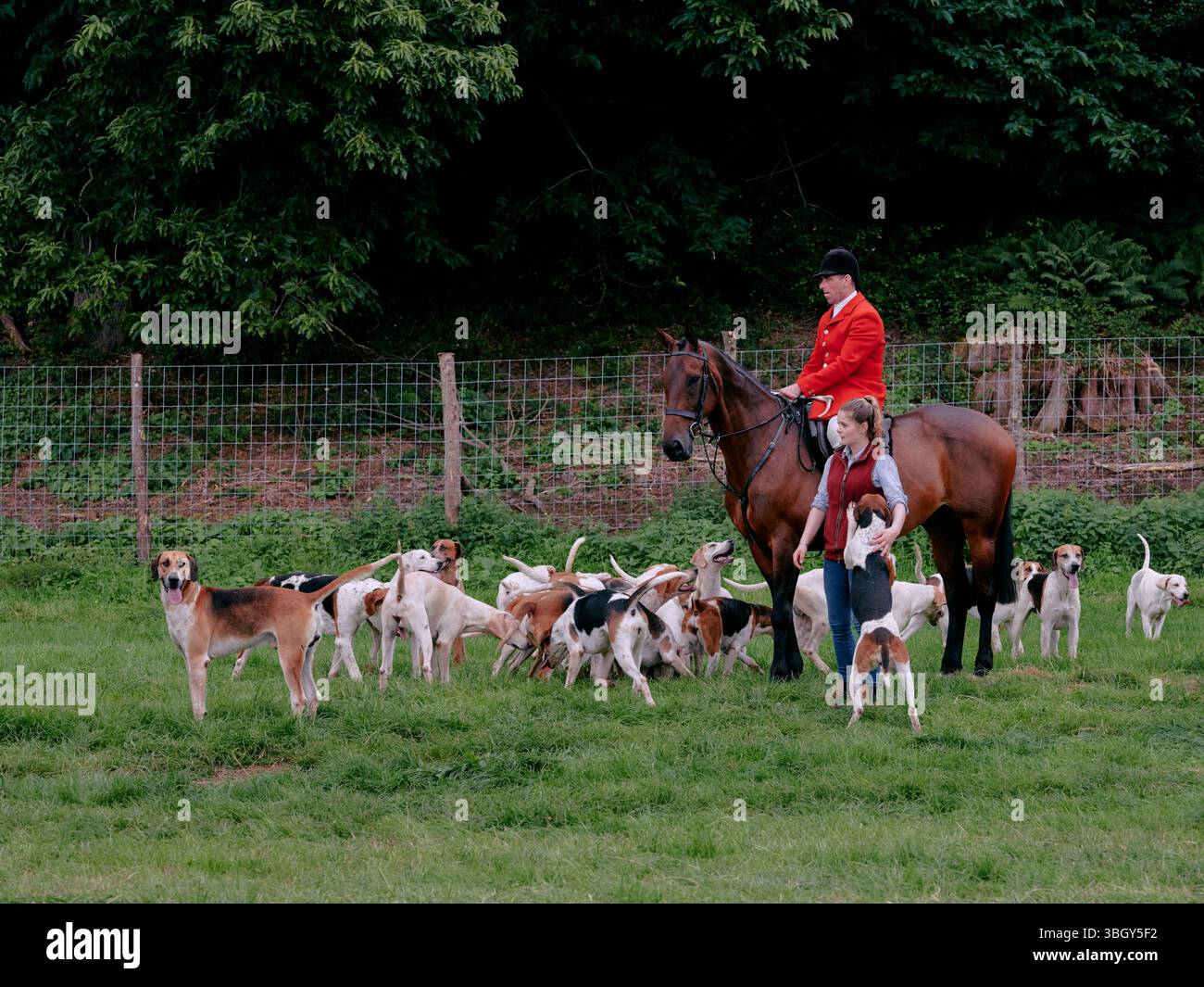 Hunt Master and Hounds at the Dunster Country Fair held at Dunster ...