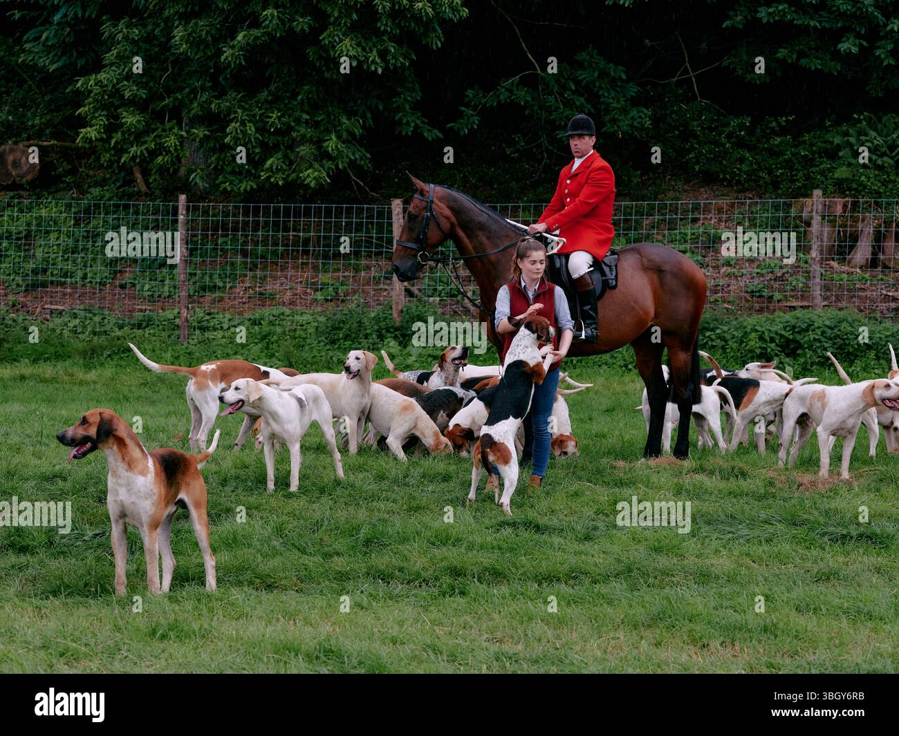 Hunt Master and Hounds at the Dunster Country Fair held at Dunster ...