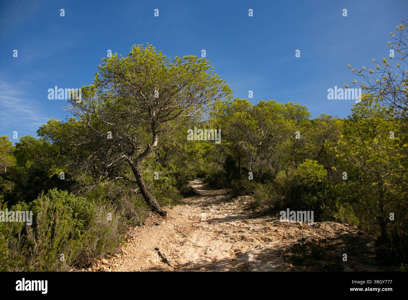 Nature trail to the beautiful wild beach of Es Portitxol on the island ...