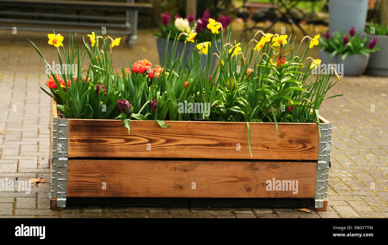 Wooden planter box filled with colorful flowers in a garden setting ...