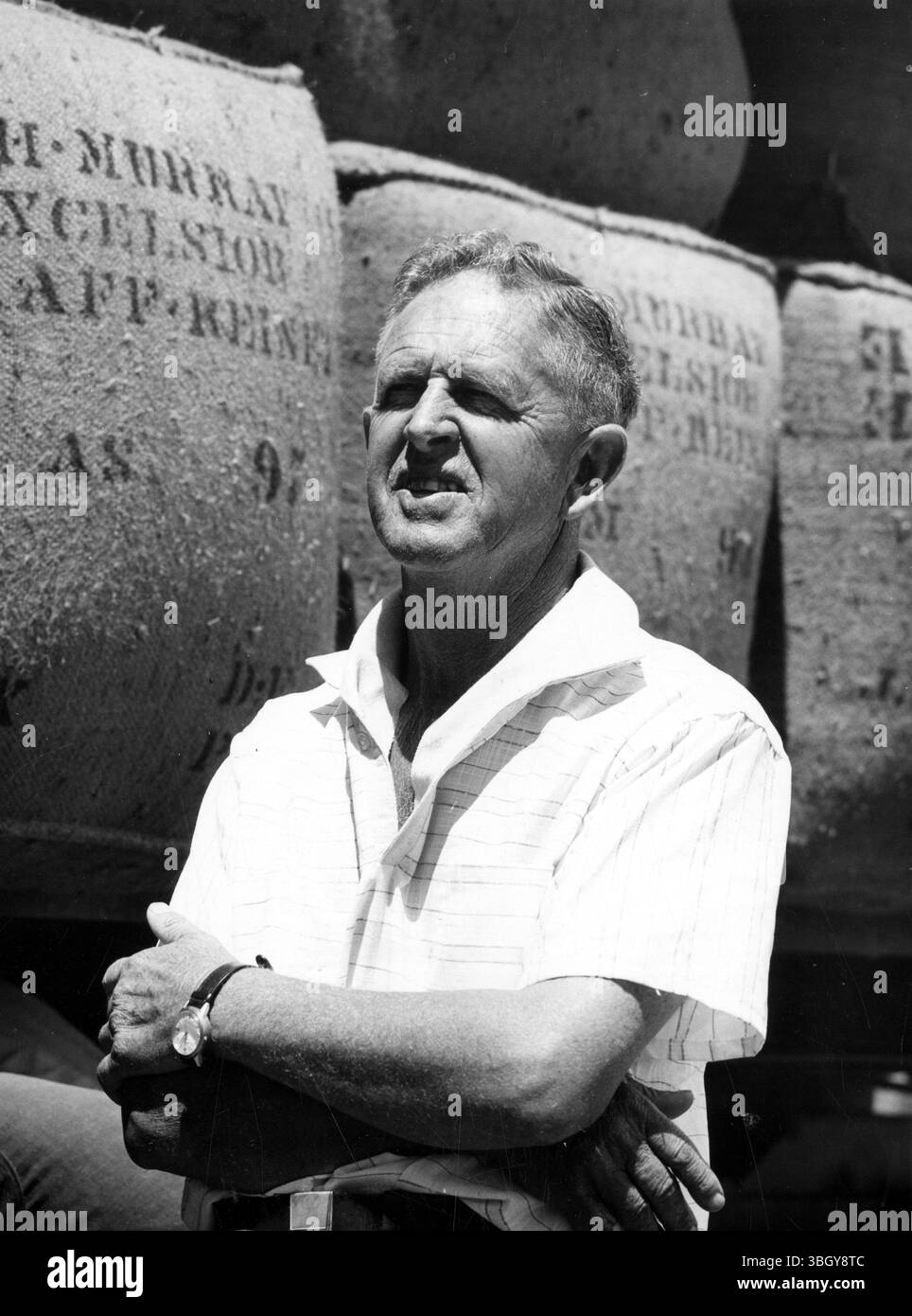 R. H. "Bob" Murray, the "Sheep King of South Africa". 8 June 1962 Stock ...