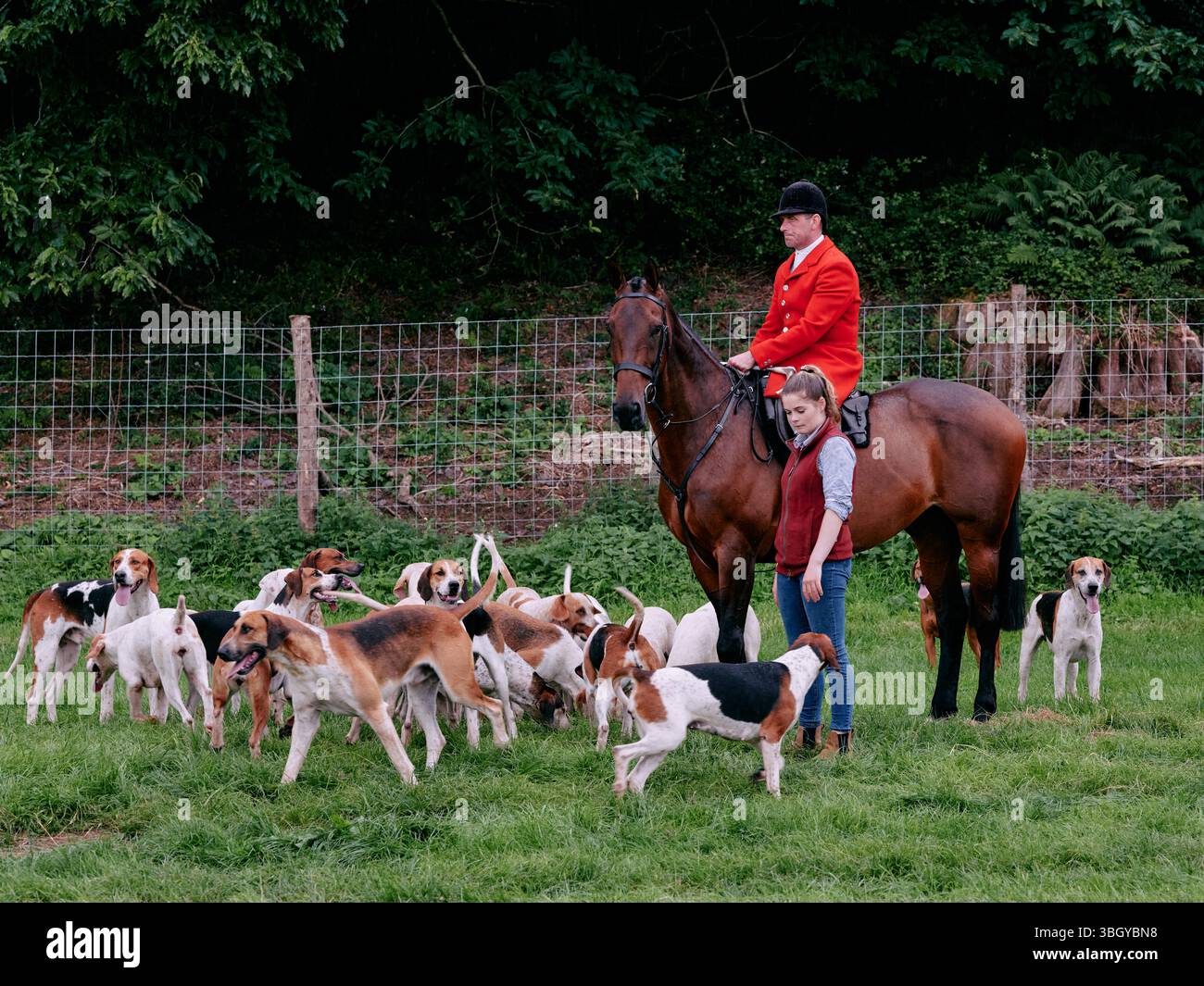 Hunt Master and Hounds at the Dunster Country Fair held at Dunster ...