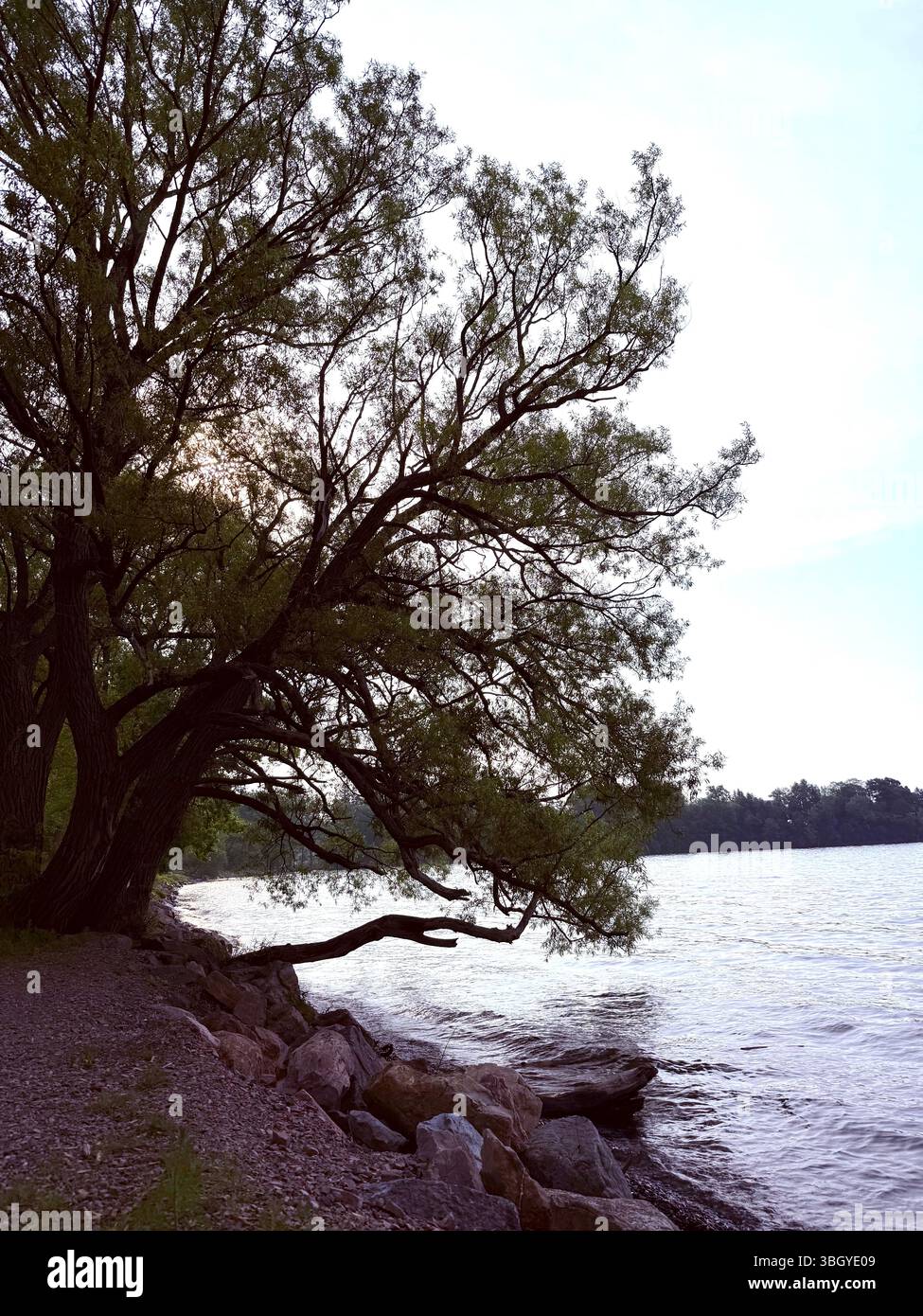 Tree overhangs hi-res stock photography and images - Alamy