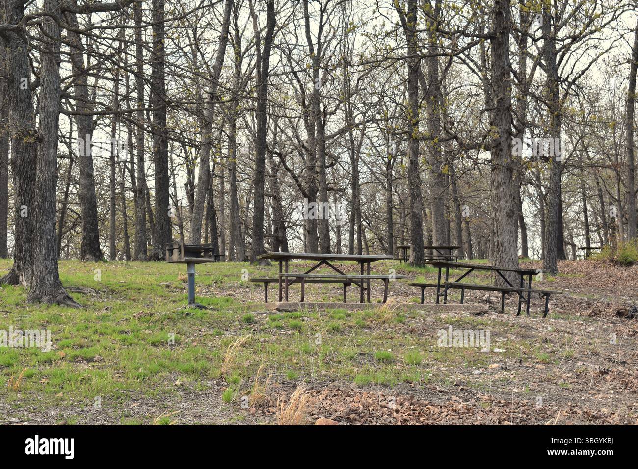 Picnic areas with BBQ grills welcome guests at the Harry S Truman State ...