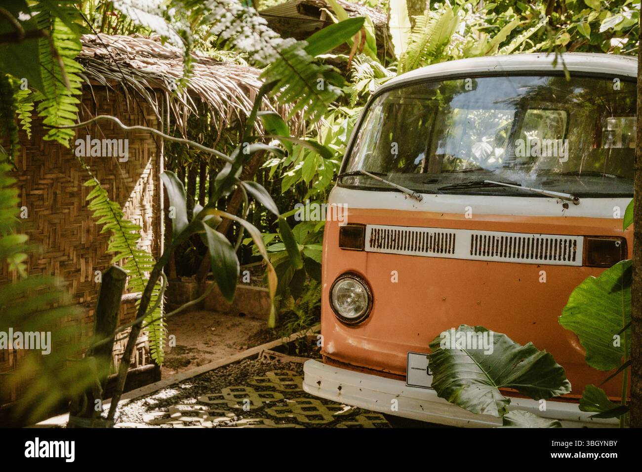 Old vintage orange bus between the tropical greenery Stock Photo - Alamy