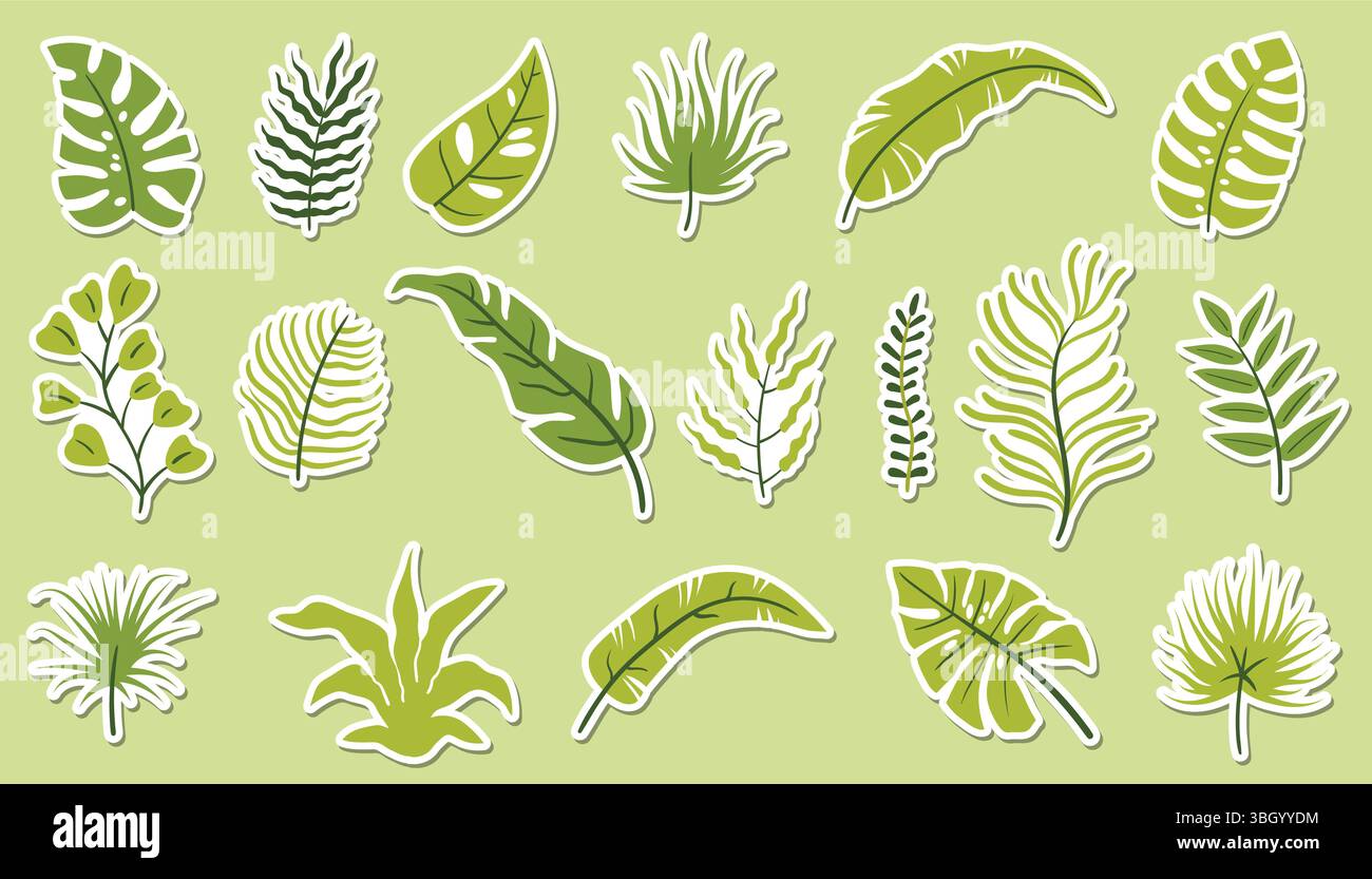 Sticker set with tropical palm and monstera leaves, branches, and ...