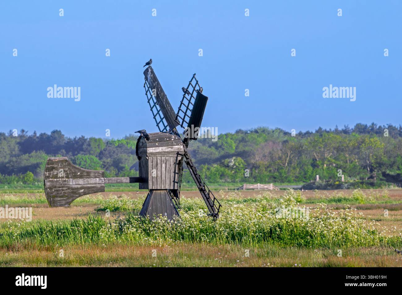 Little wooden meadow mill, small windmill used for drainage of fields ...